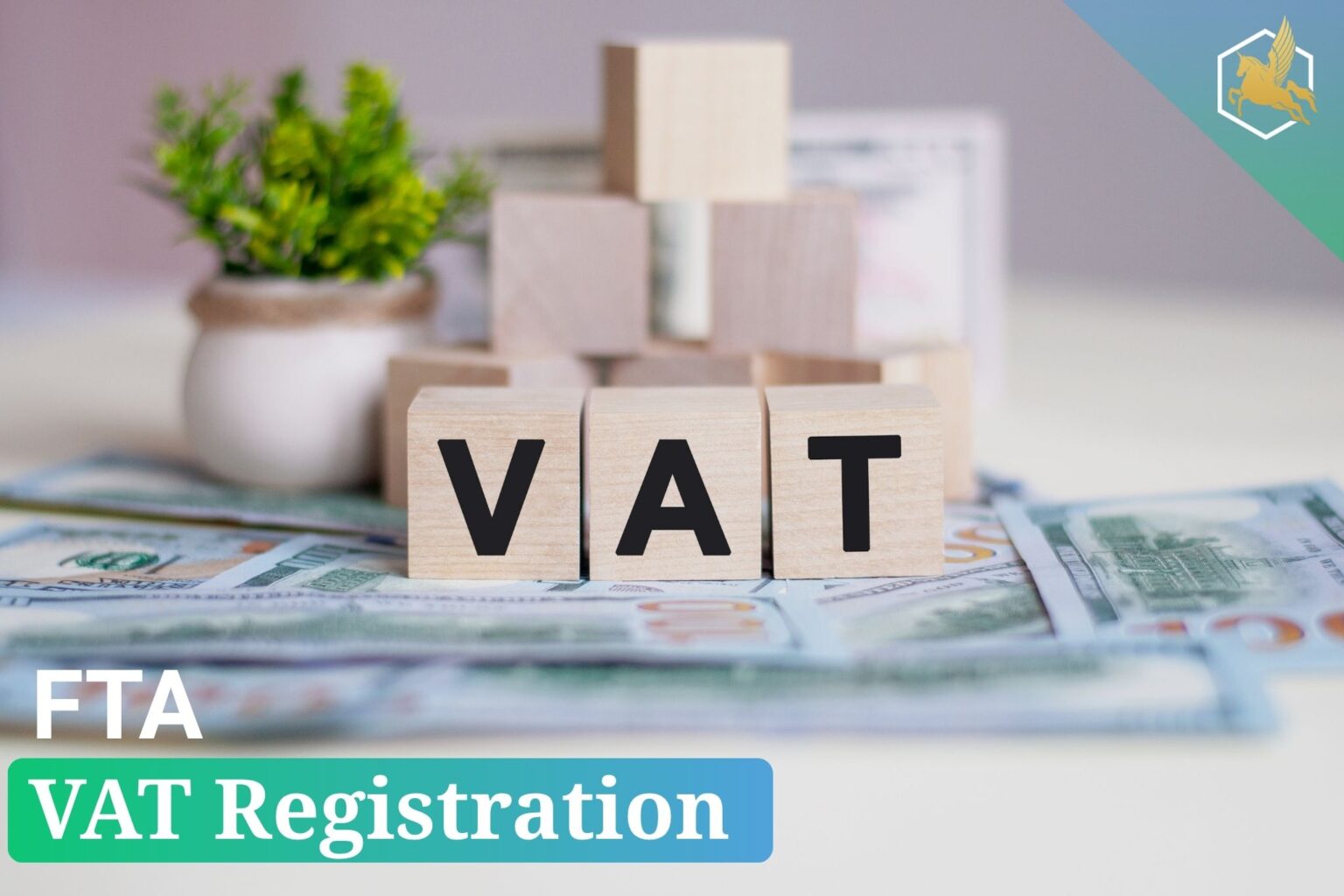 FTA VAT Registration | FTA Online Portal For Vat Registration